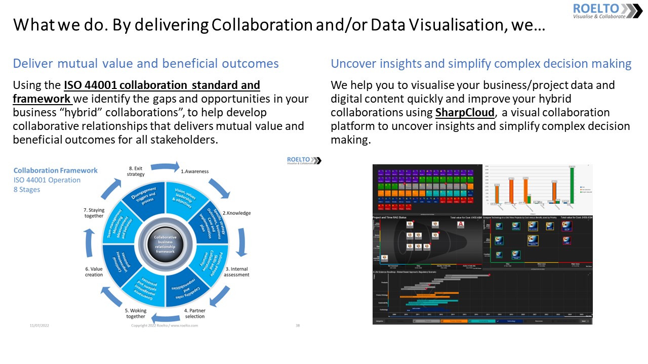 Visual Roadmaps that align & simplify complex decision making