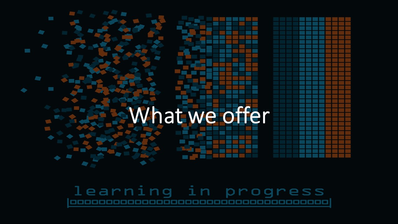 Visual Roadmaps that align & simplify complex decision making