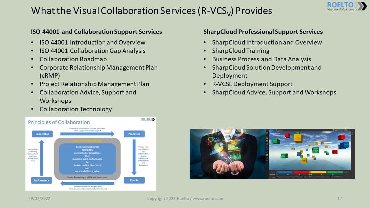 Visual Roadmaps that align & simplify complex decision making