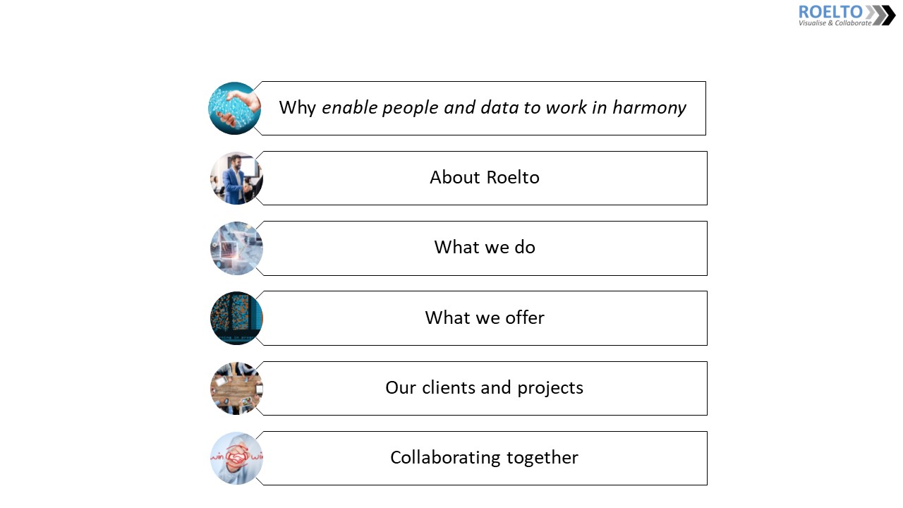 Visual Roadmaps that align & simplify complex decision making